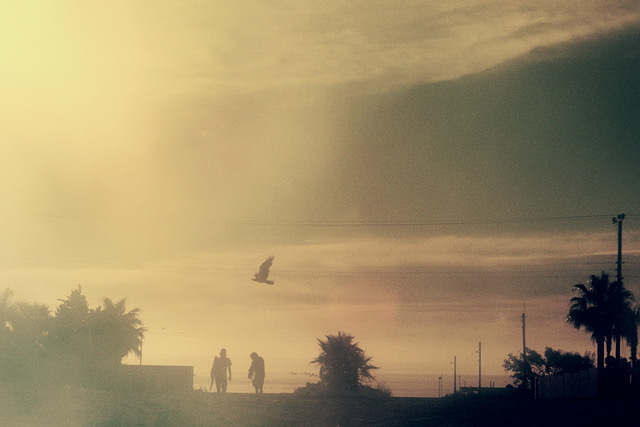 Paris Surf & Skateboard Film Festival - The first french film festival ...